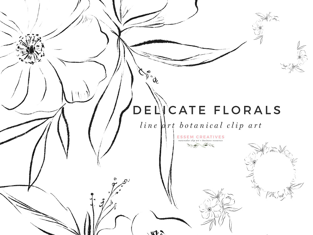 delicate-line-art-floral-clipart-by-sneha-on-dribbble