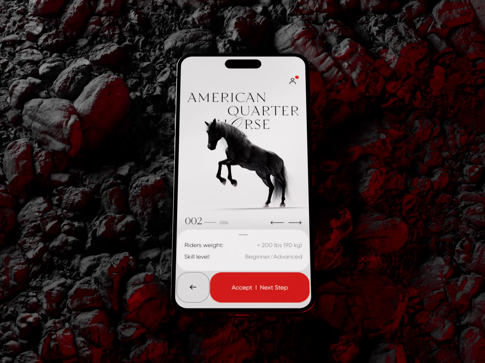 Horse Riding app animation by Anton Skvortsov on Dribbble