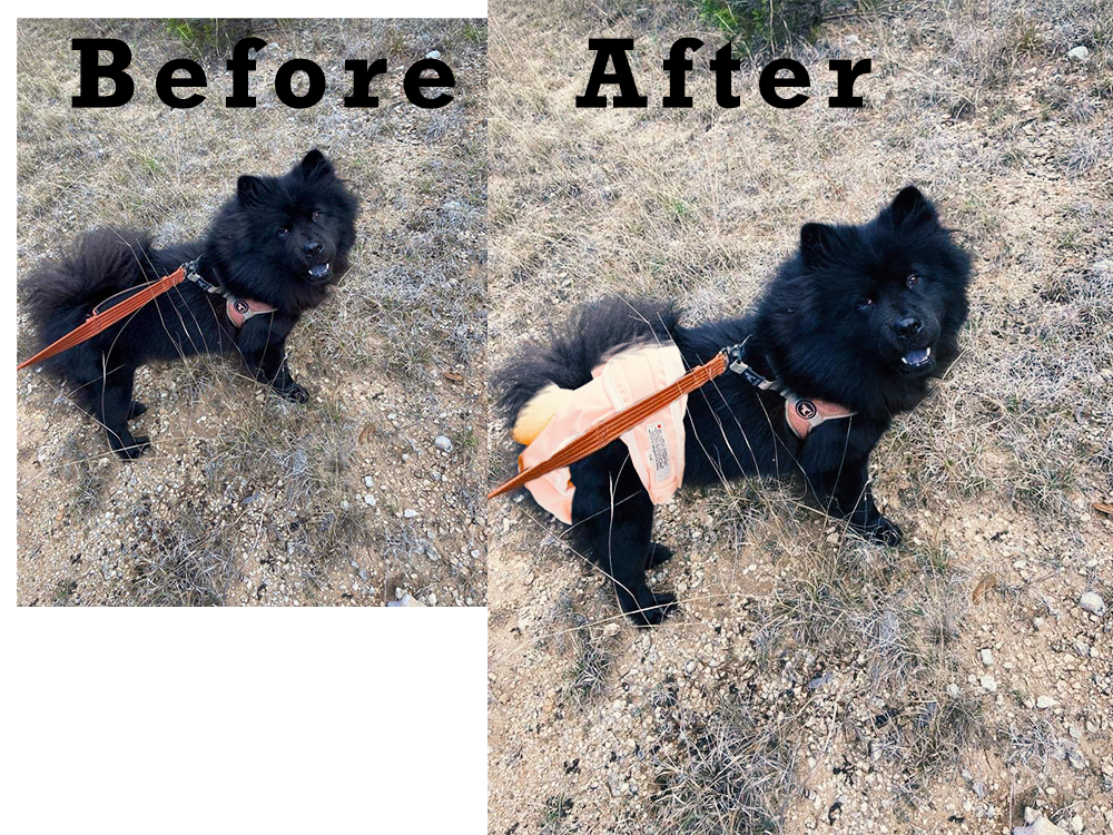 Photo Manipulation / Add or Remove objects / Items by JawadGenix on ...