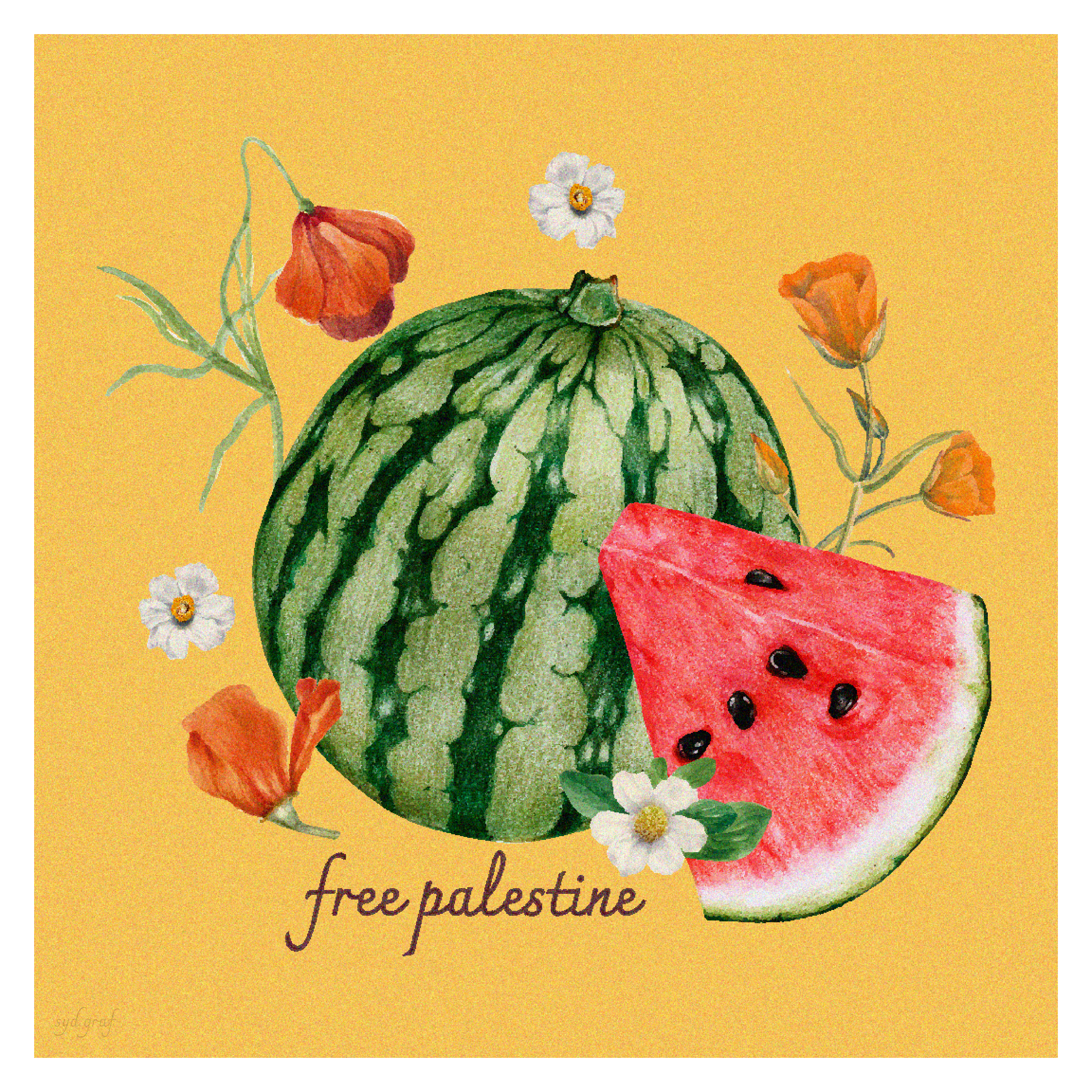 Gaza designs, themes, templates and downloadable graphic elements on ...