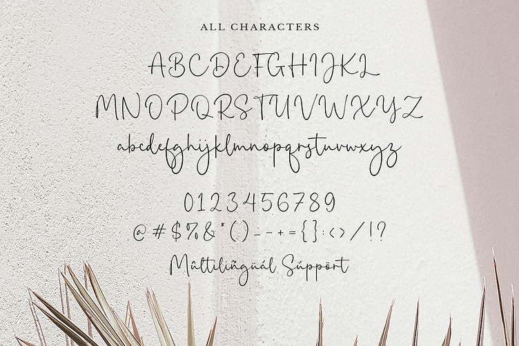 Valencia Nature - Handwritten Script Font by Timur Type on Dribbble