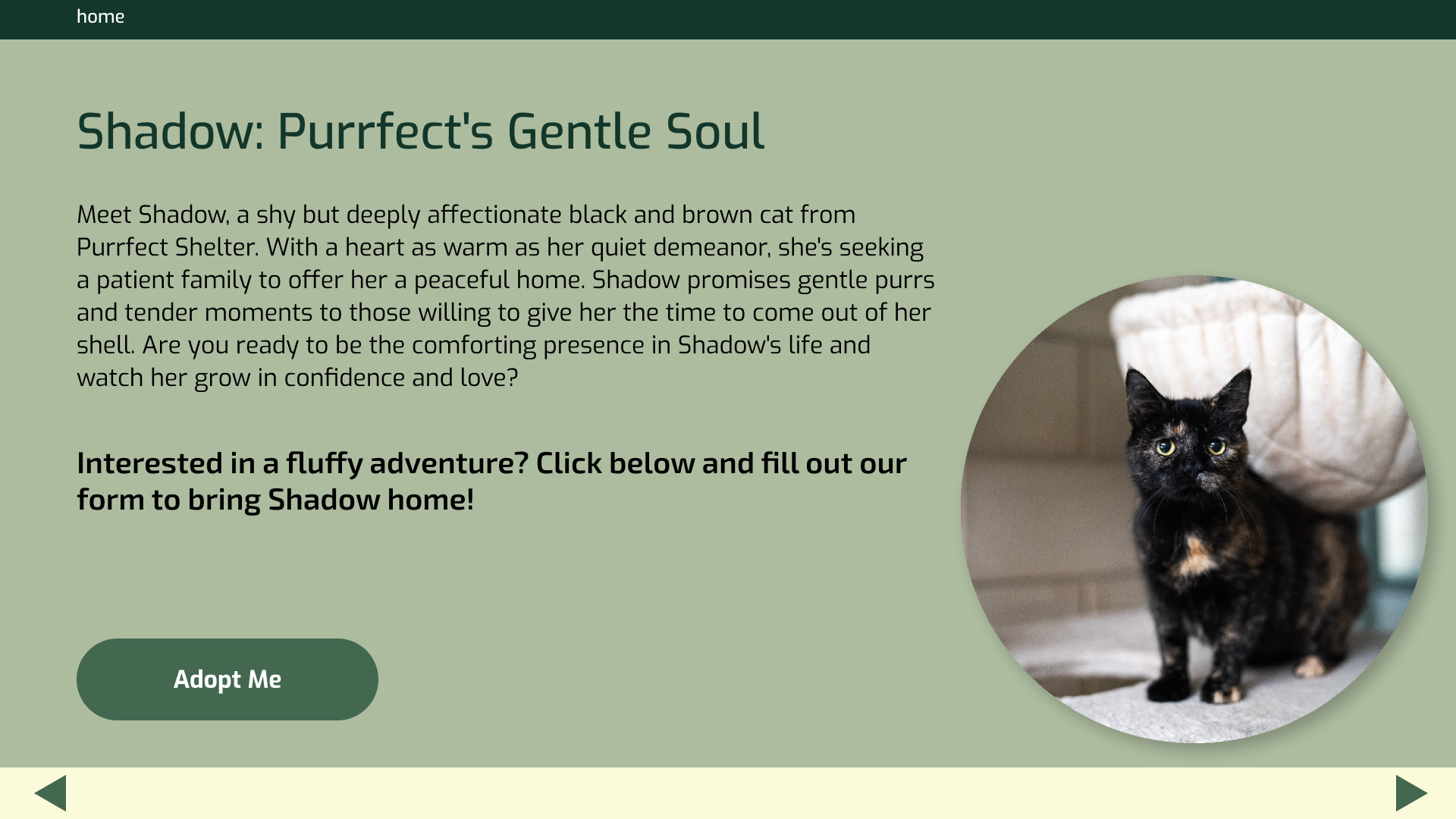 Animal Shelter Web Design by Monika Weisgerberova on Dribbble