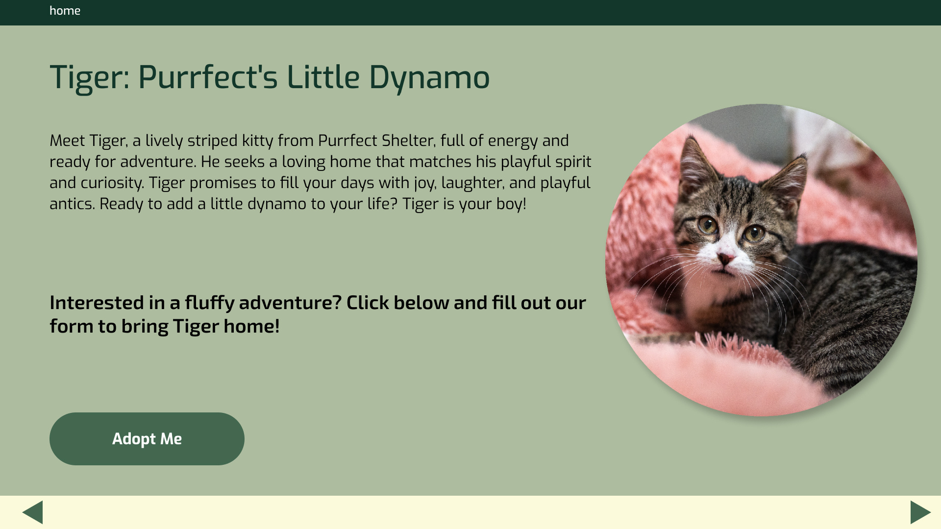 Animal Shelter Web Design by Monika Weisgerberova on Dribbble
