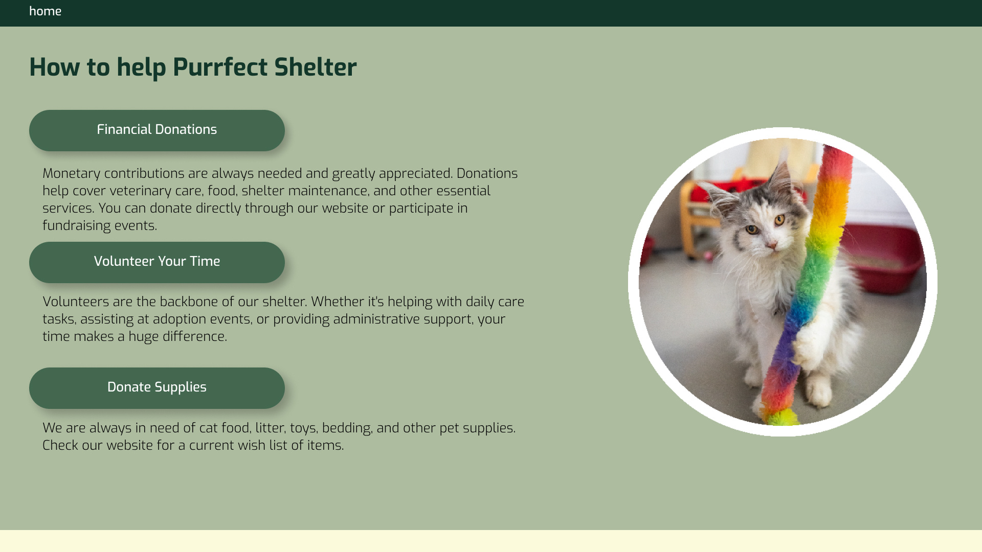 Animal Shelter Web Design by Monika Weisgerberova on Dribbble