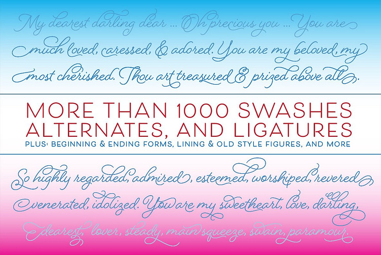 Beloved Script Regular Font by Professional Font Shop⭐ on Dribbble Beloved Script Regular Font by Professional Font Shop⭐ on Dribbble