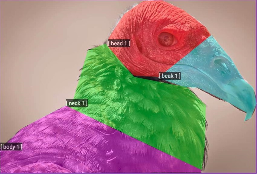 Image Annotation - Semantic Segmentation, Polygon by Afifah on Dribbble