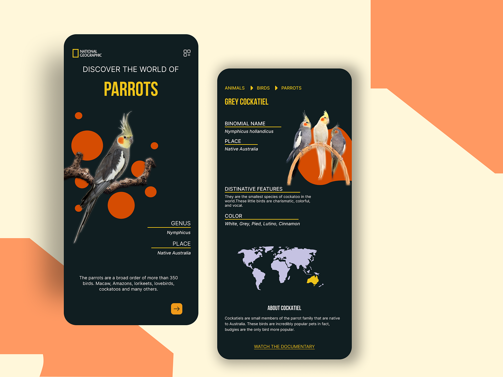 National Geographic App by Md.Shihab Parves Chanchol on Dribbble