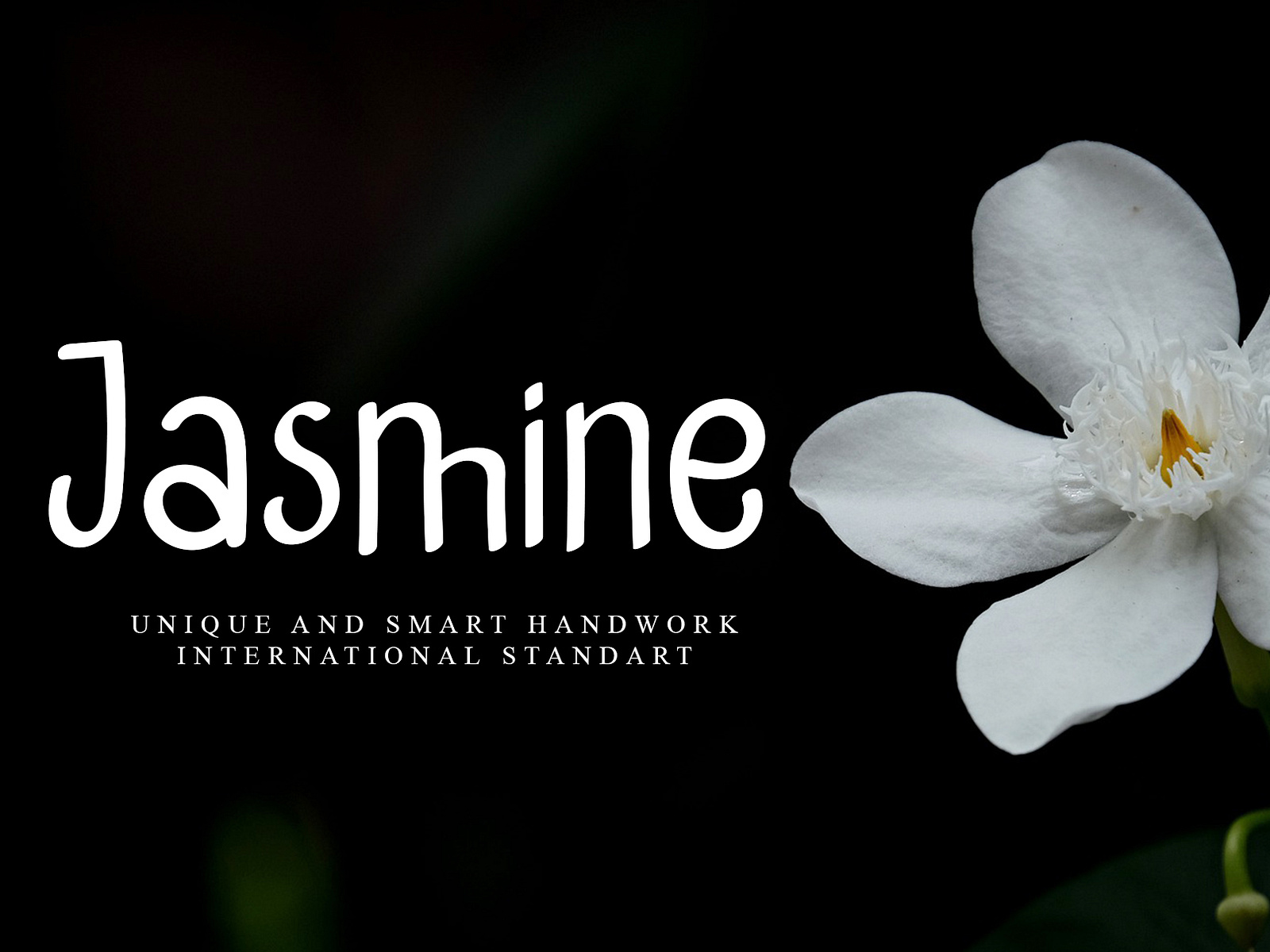 Jasmine by Gia Letter on Dribbble