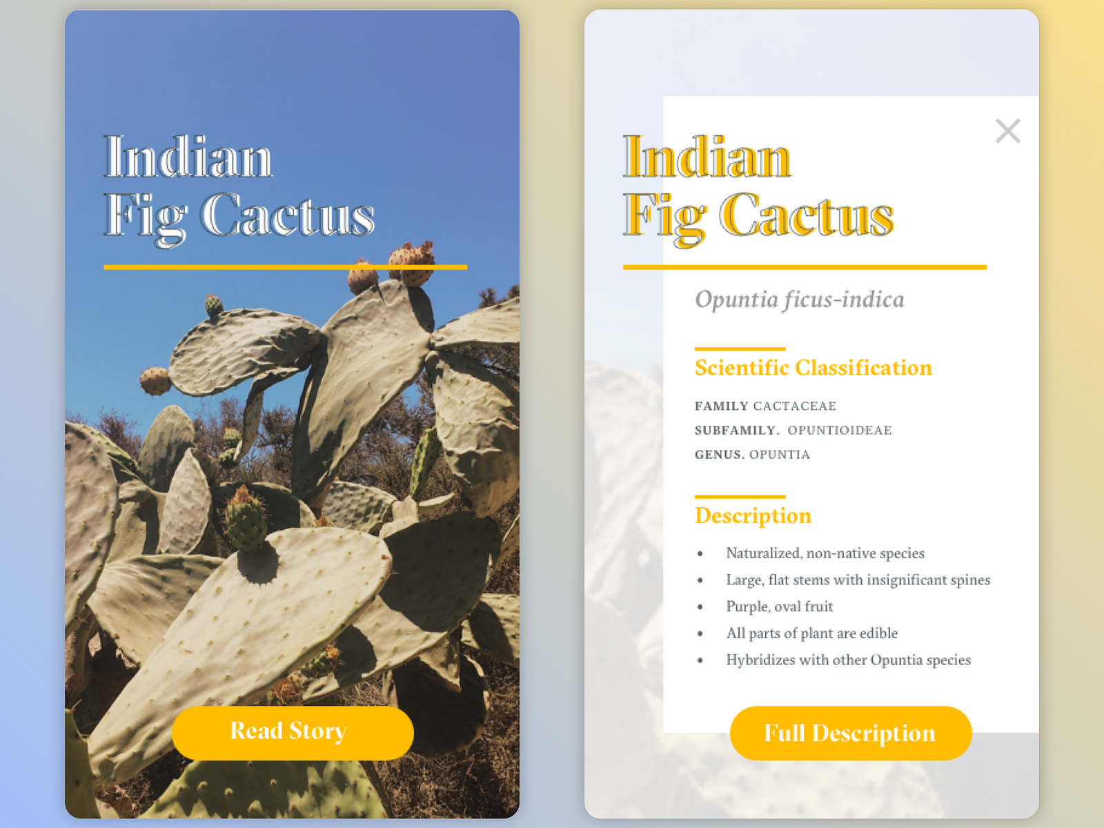 Daily UI Design — Day 16 by kirti on Dribbble