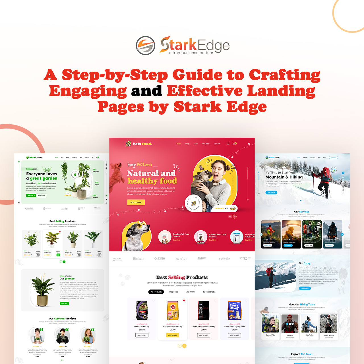 A Comprehensive Guide To Create Successful Landing Page by Stark Edge ...