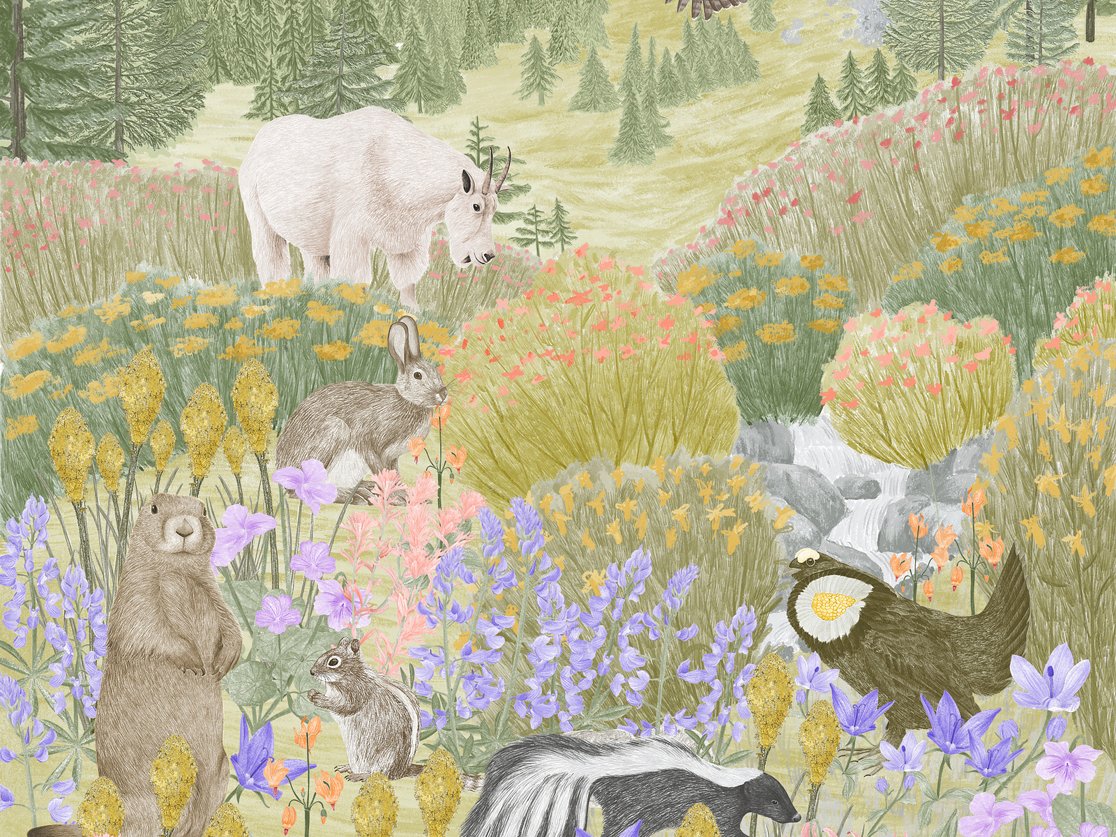 Alpine Meadow Ecosystem with Diverse Wildlife and Wildflowers by Stacy ...