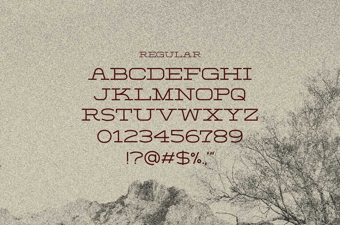 Burro Wash - Slab Serif Display Font by Creative Font Template on Dribbble