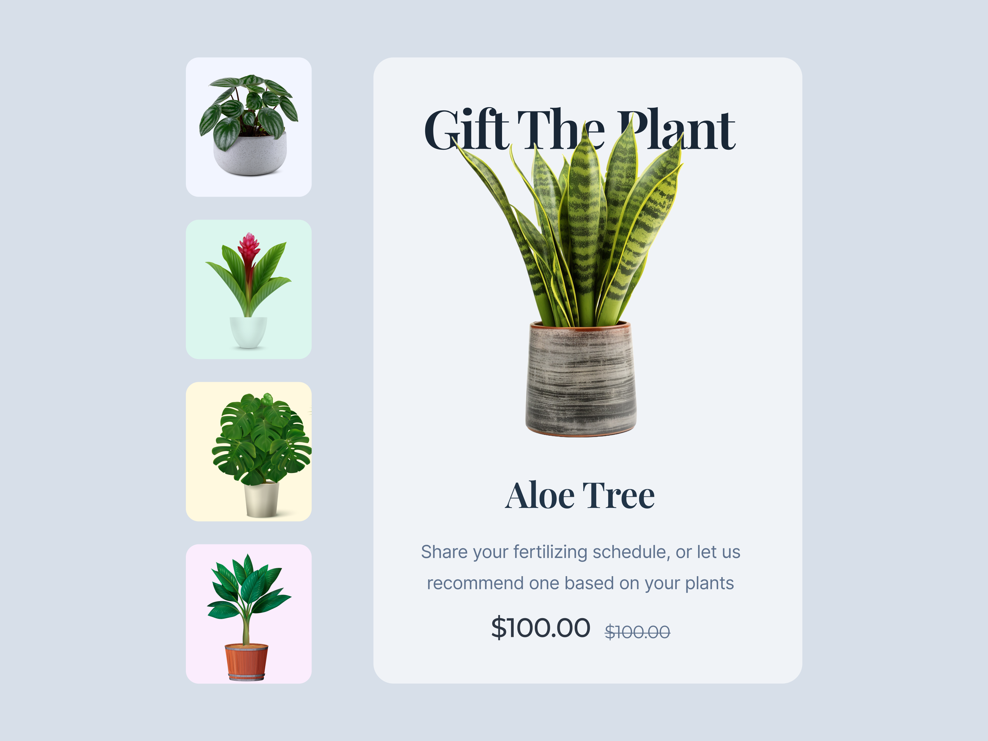Plant UI UX Design by Muntasir Mahmud on Dribbble