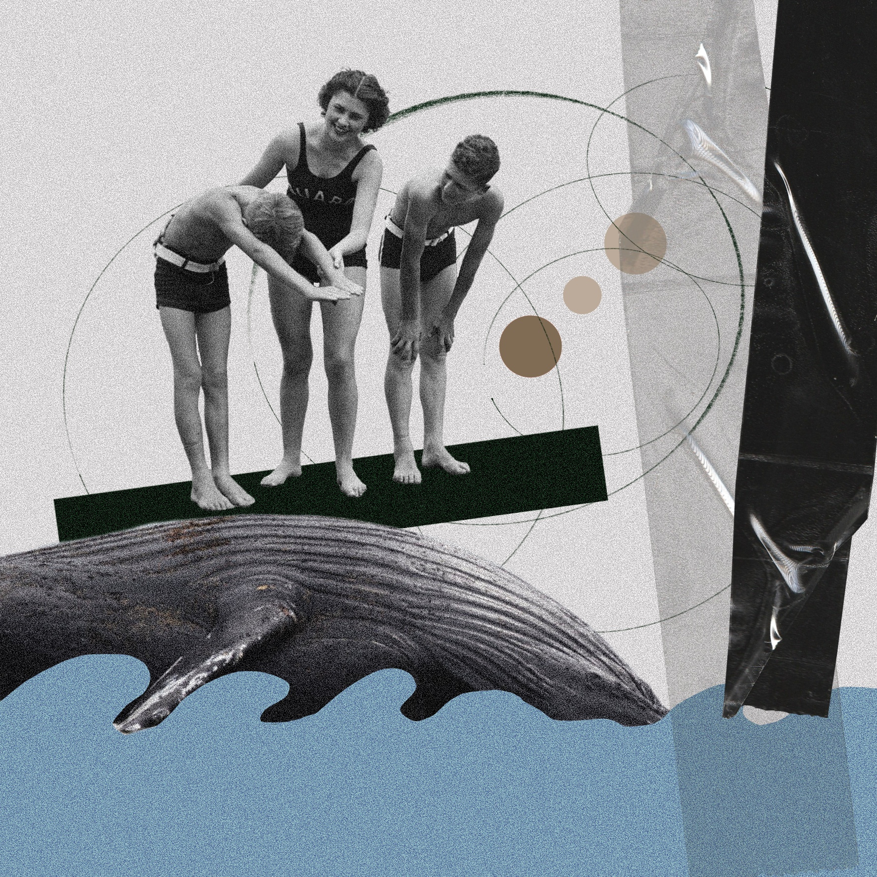 Black And Whir designs, themes, templates and downloadable graphic ...