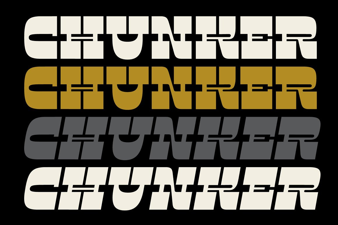 Chunker Display 50% OFF! by Creative Design Master on Dribbble