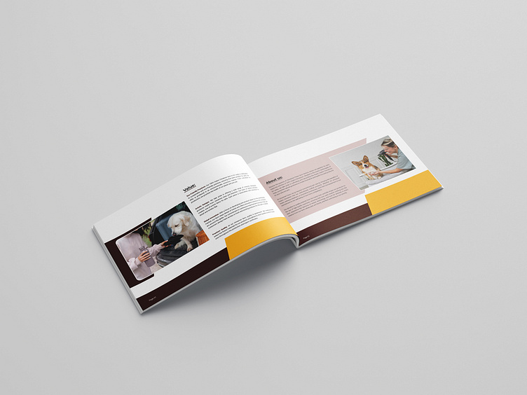 Brochure by Tania Nasrin on Dribbble