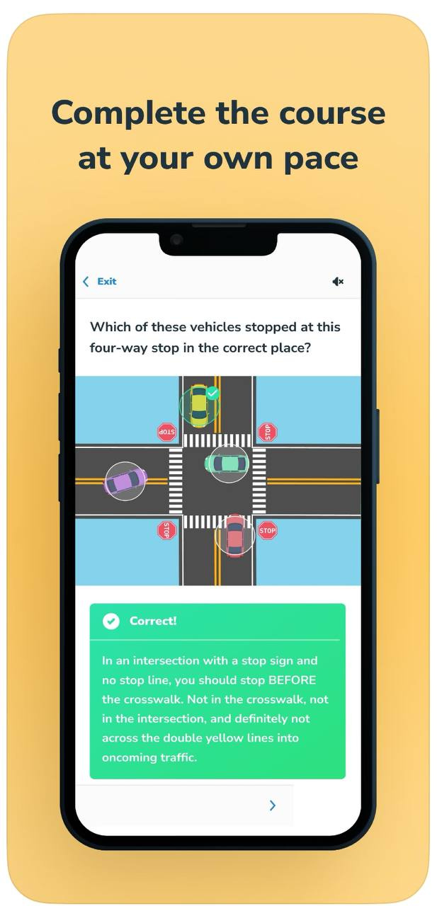 Aceable Driving School Mobile App by Khrystyna on Dribbble