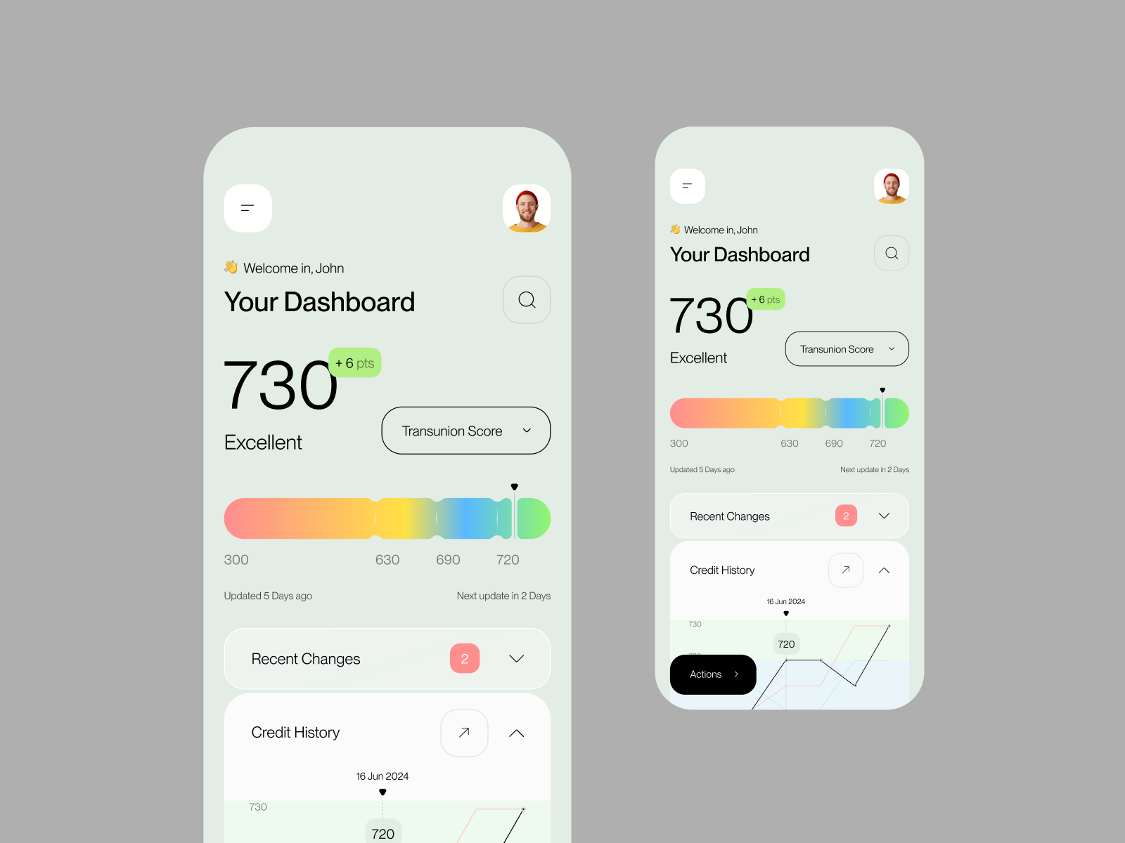 Credit Pros App - Credit Score Dashboard by Mari S. for RonDesignLab ⭐️ ...