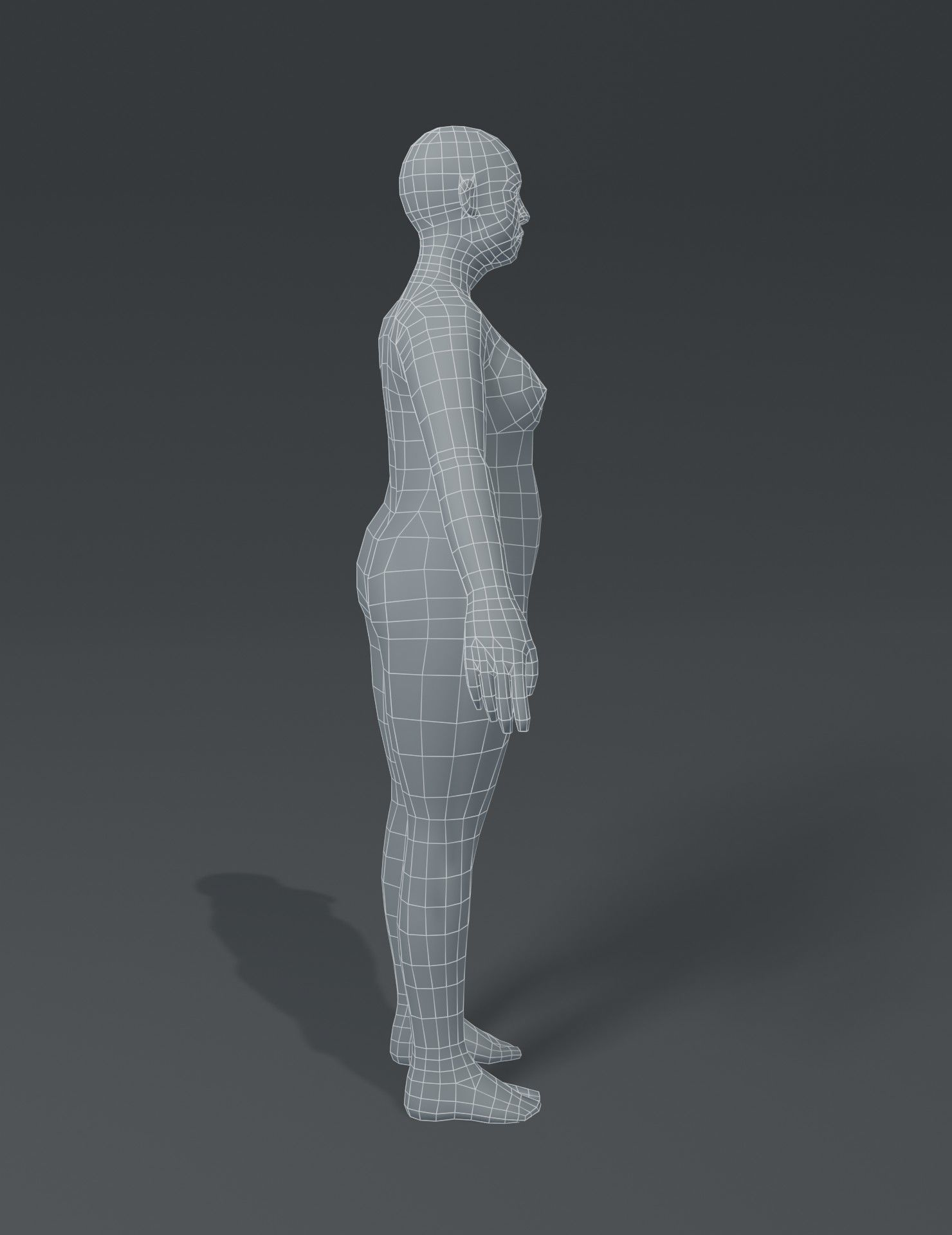 Female Body Fat Base Mesh 3D Model by 3D-Disco on Dribbble