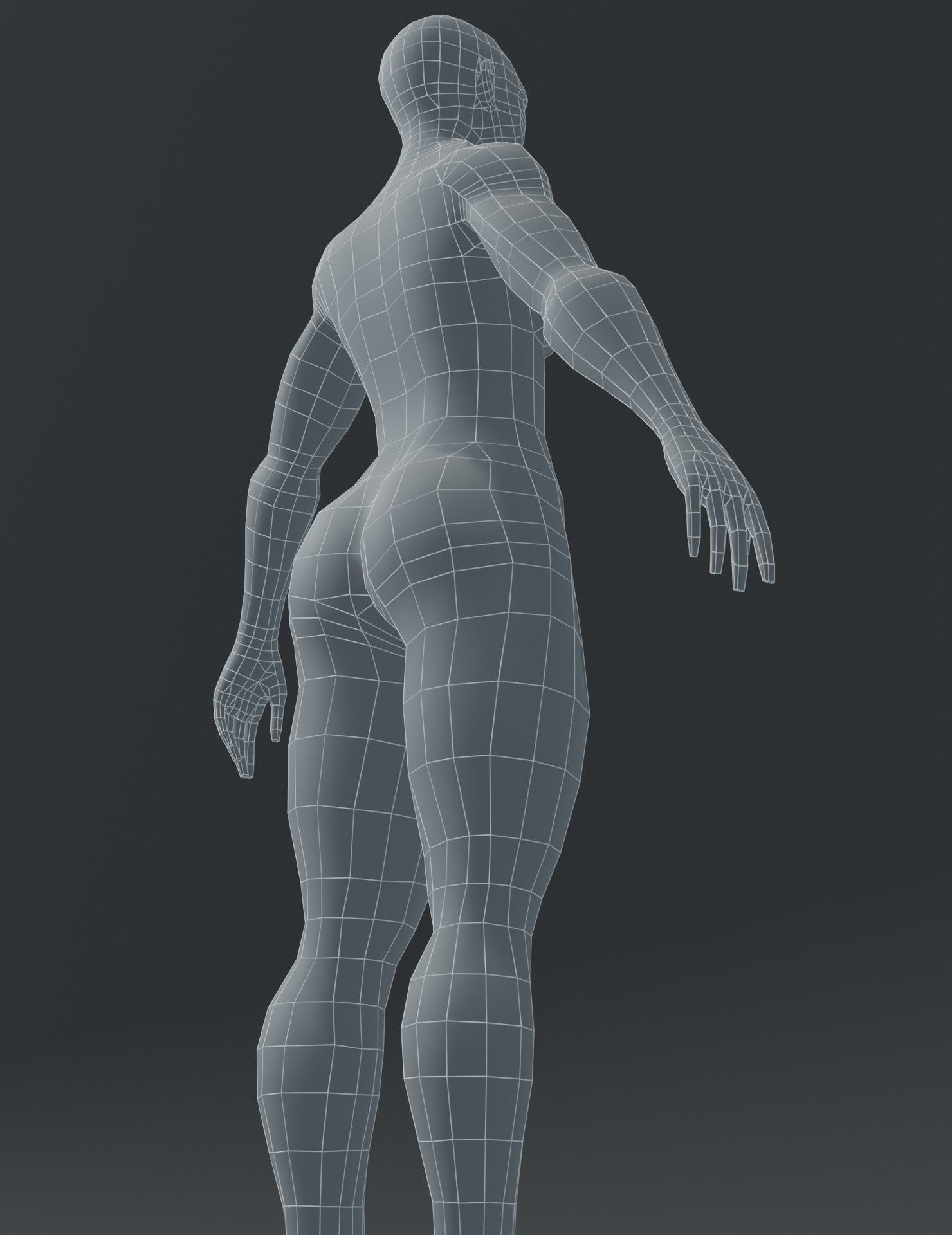 Strong Female Body Base Mesh 3D Model by 3D-Disco on Dribbble
