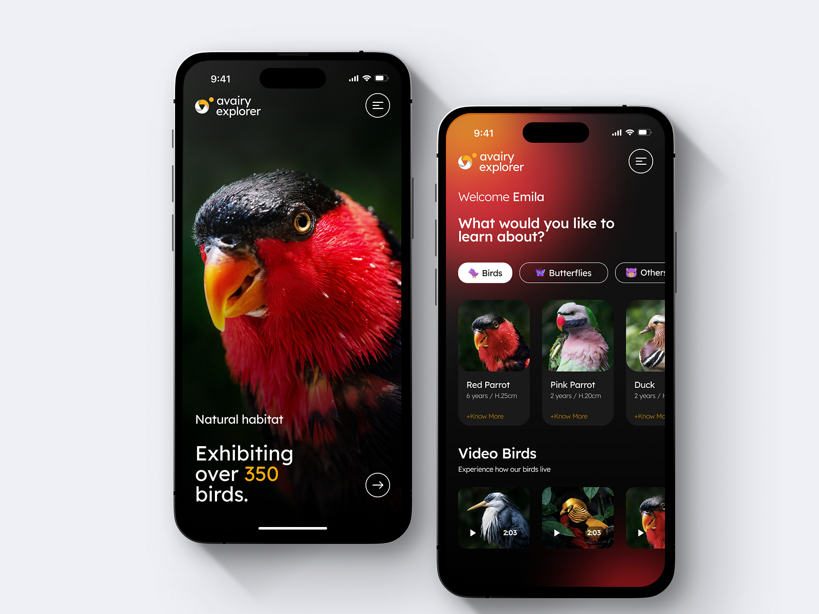 Bird App by Mide Design on Dribbble