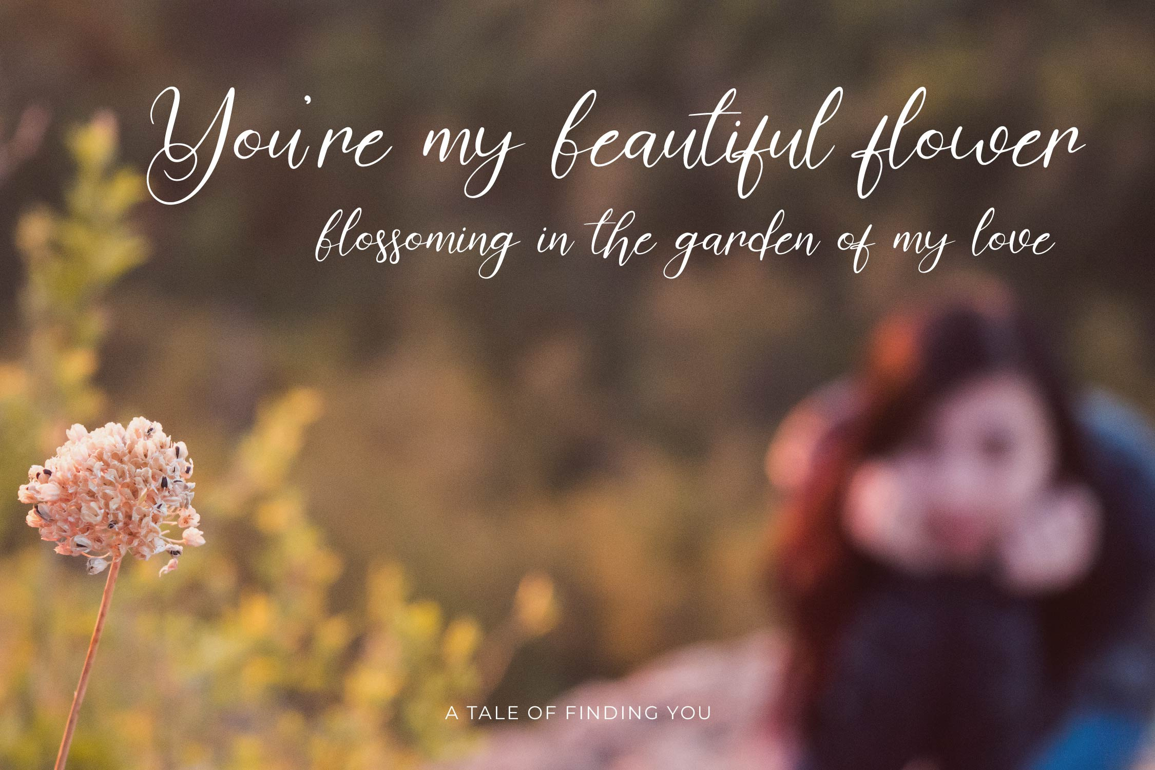 Revalyna Script Font by Gracetype Studio on Dribbble