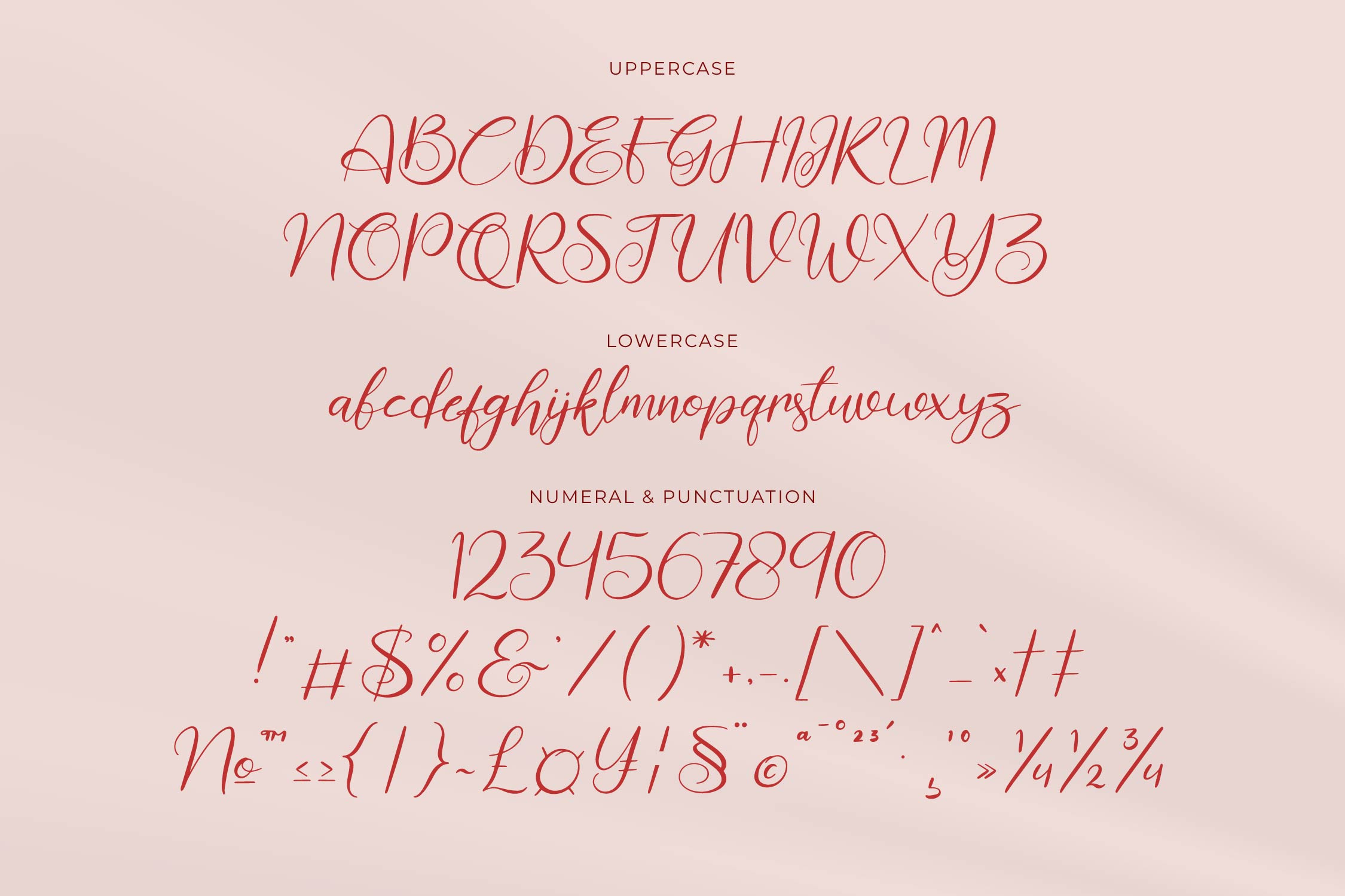 Revalyna Script Font by Gracetype Studio on Dribbble
