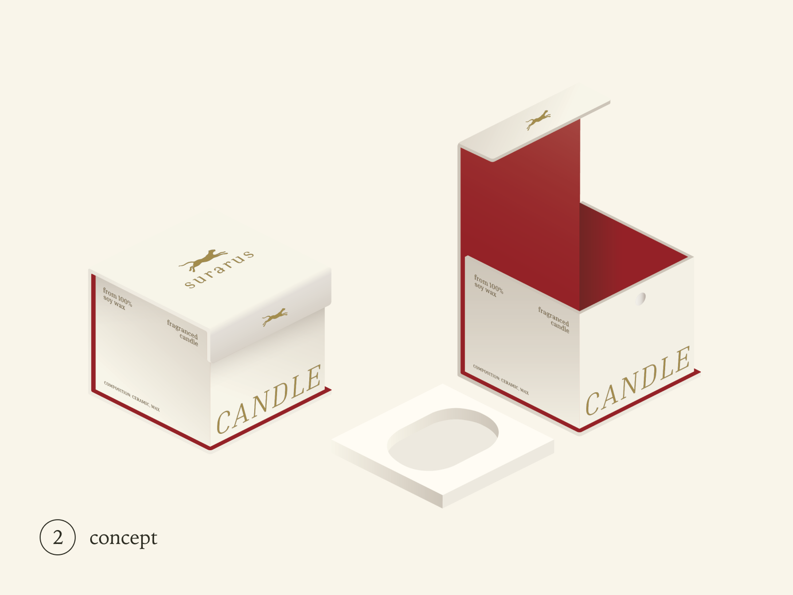 Package design Box by Anastasia Tyuleneva on Dribbble