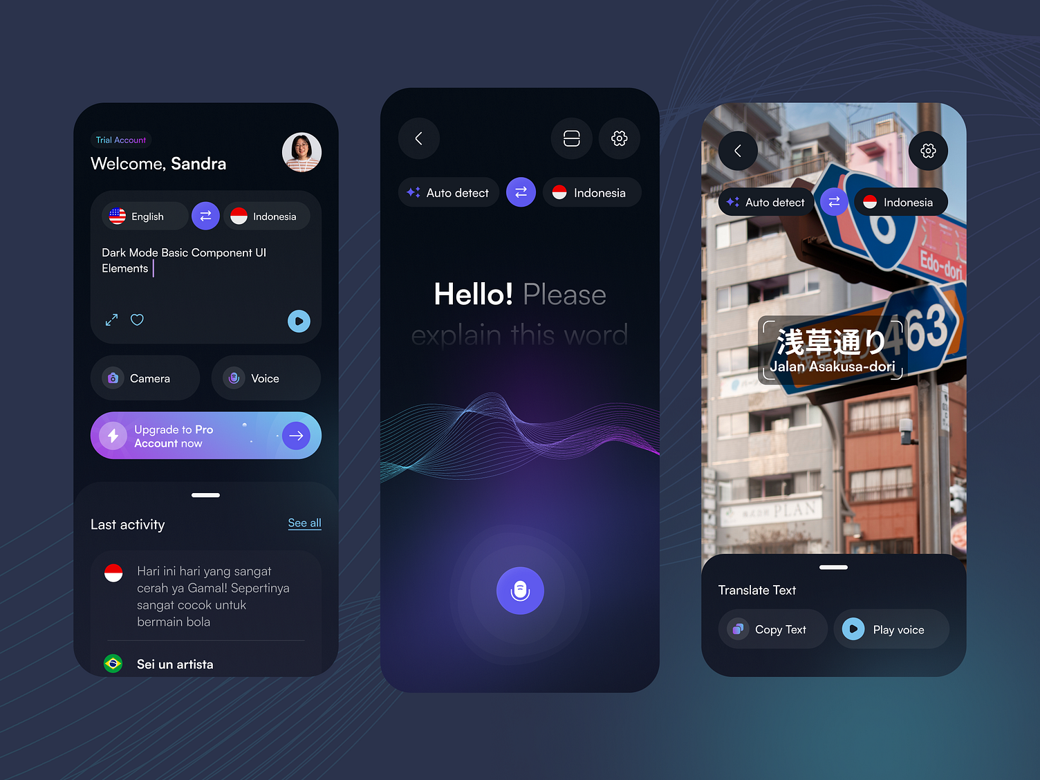 Translator Mobile App Exploration by Paperpillar on Dribbble