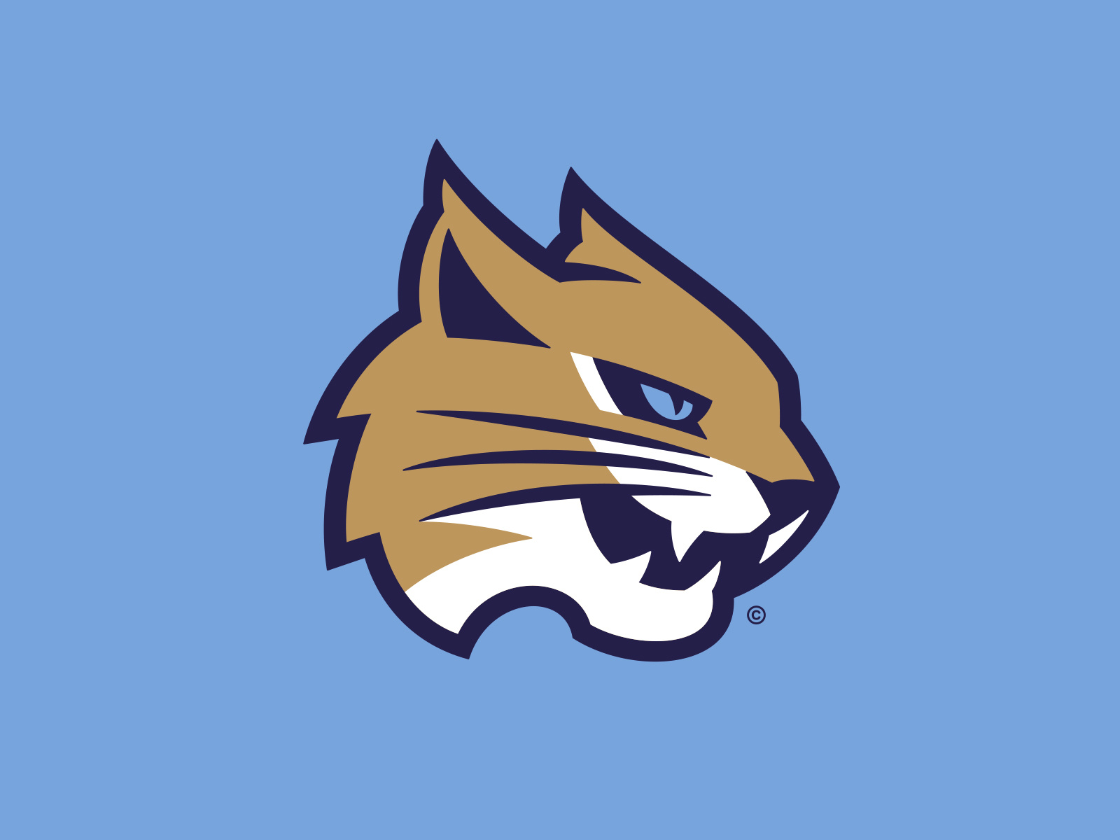 Bobcats Sports Logo