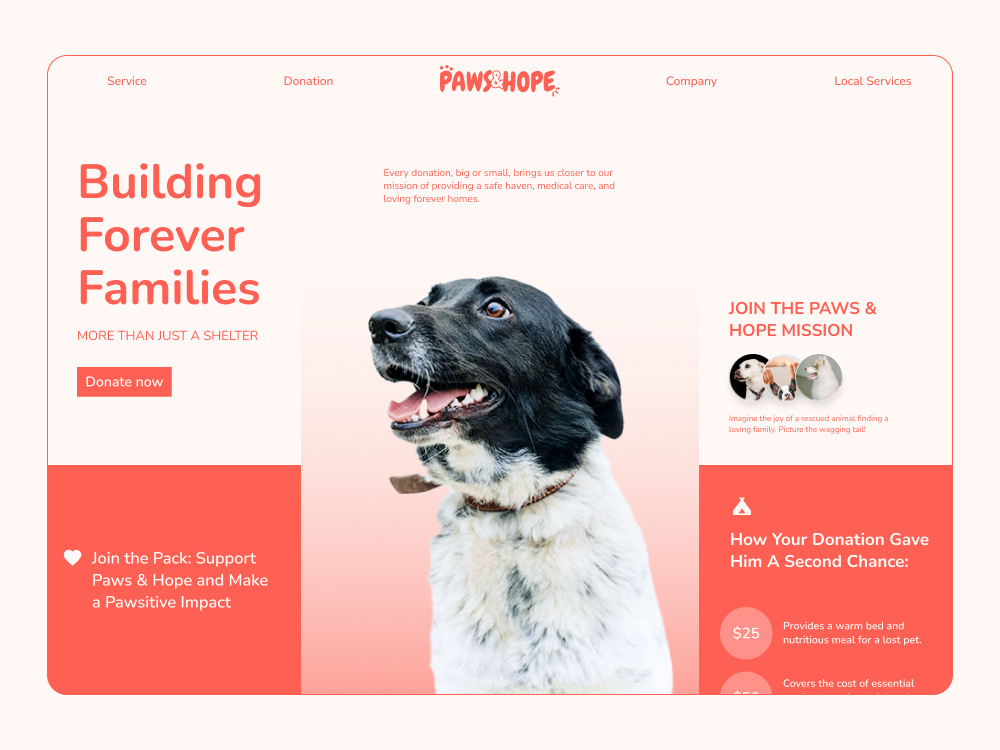 Dog Shelter - Website Design by Serena Citterio on Dribbble