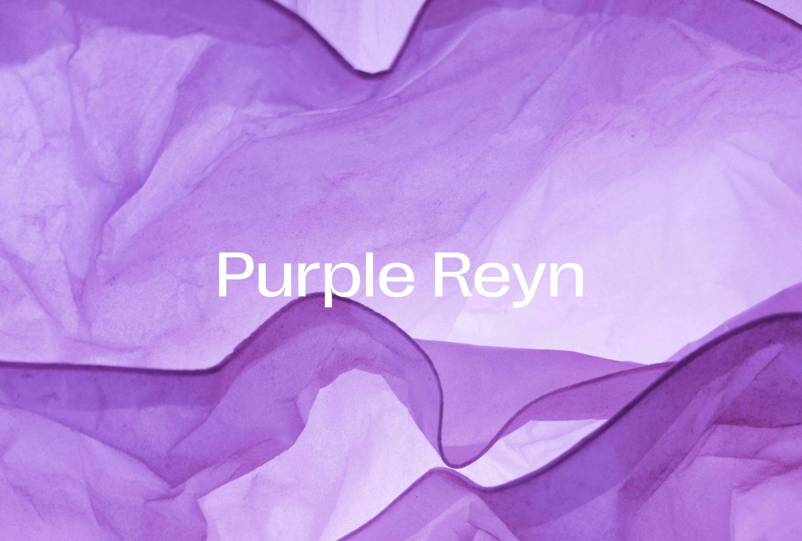 Purple Reyn by Mósol. on Dribbble