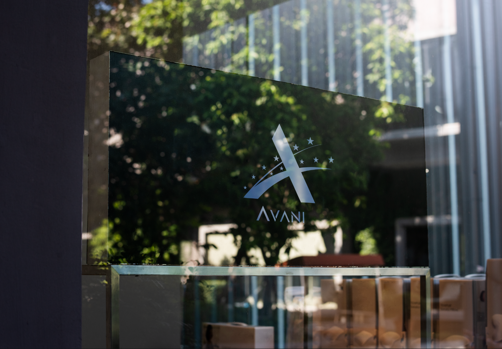 Avani logo mockup by Vân Lê on Dribbble
