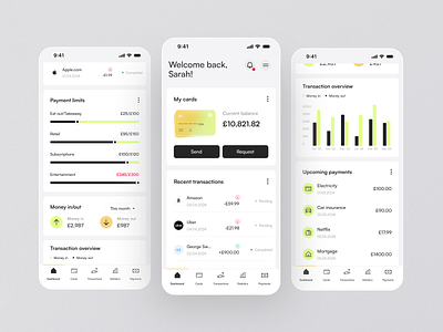 Money tracking app concept by Jana Halfarova for Intrface on Dribbble