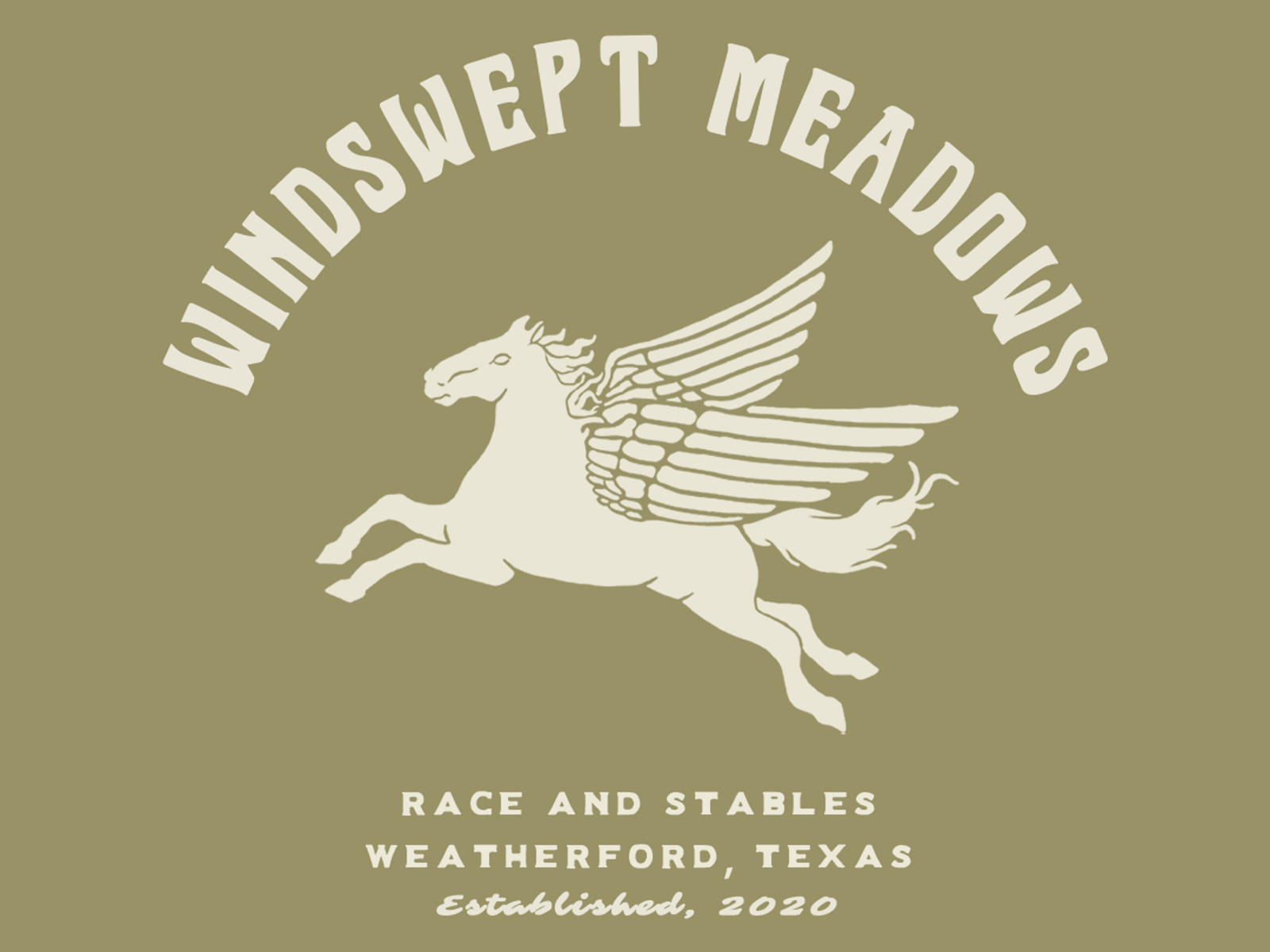 Windswept Meadows Illustration by Closetab Studio on Dribbble