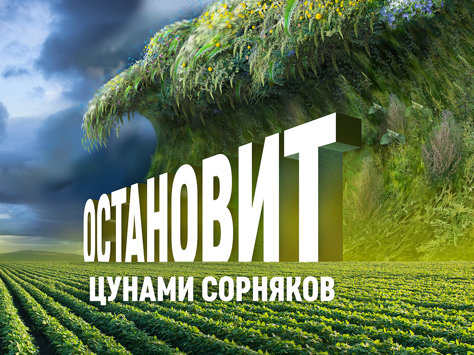 Flex Key Visual by Vitaly Chervinsky on Dribbble