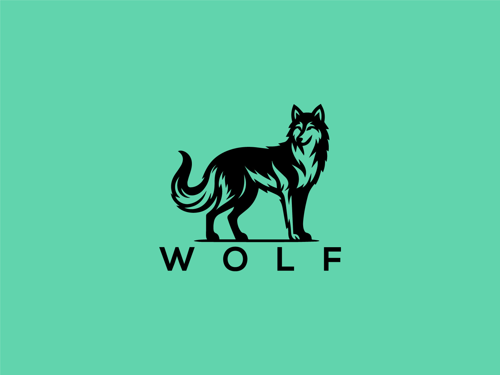 Wolf Logo by NUMAN ILYAS STUDIO on Dribbble