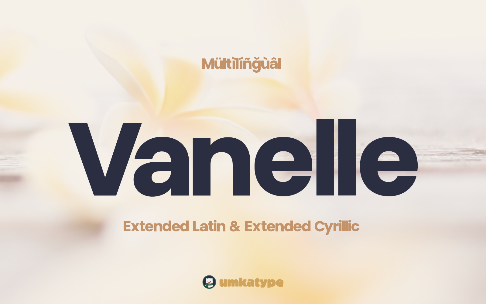 Vanelle Modern Display Font by Umka on Dribbble