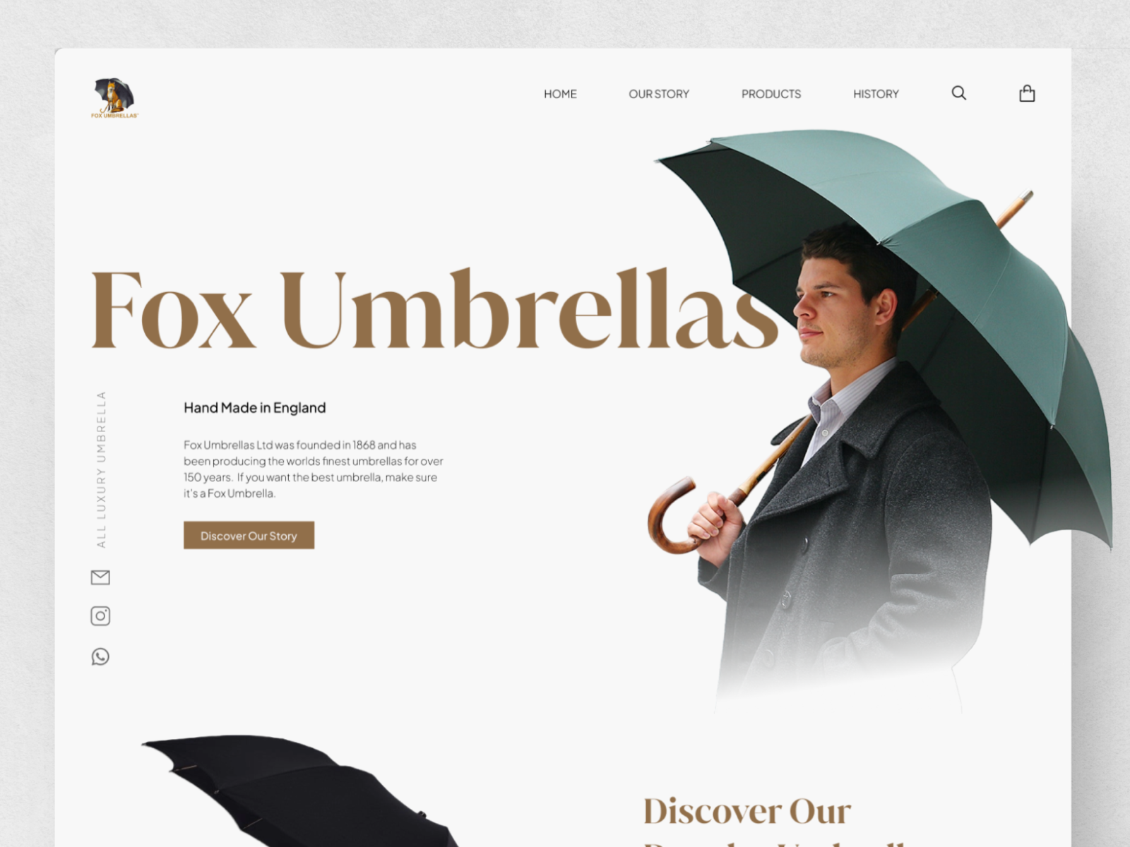 Fox Umbrellas - Luxury Sophisticated Website Design Concept by LAIN UI ...