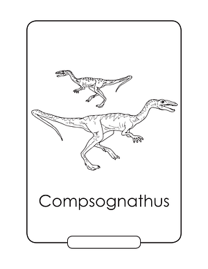 Compsognathus coloring page by Smart Way on Dribbble
