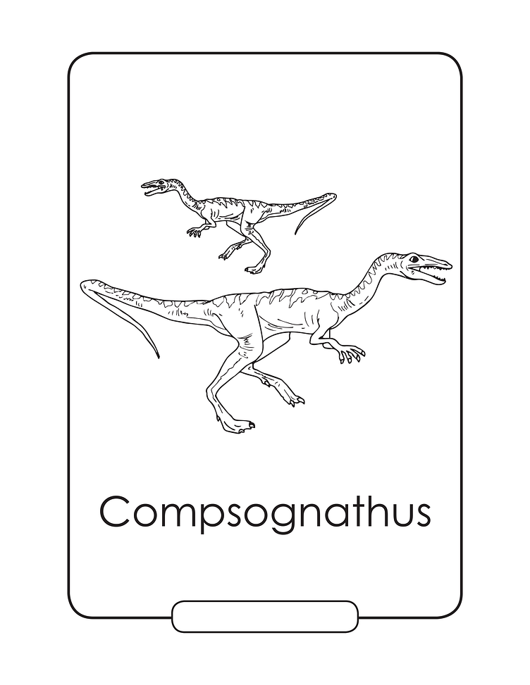 Compsognathus coloring page by Smart Way on Dribbble