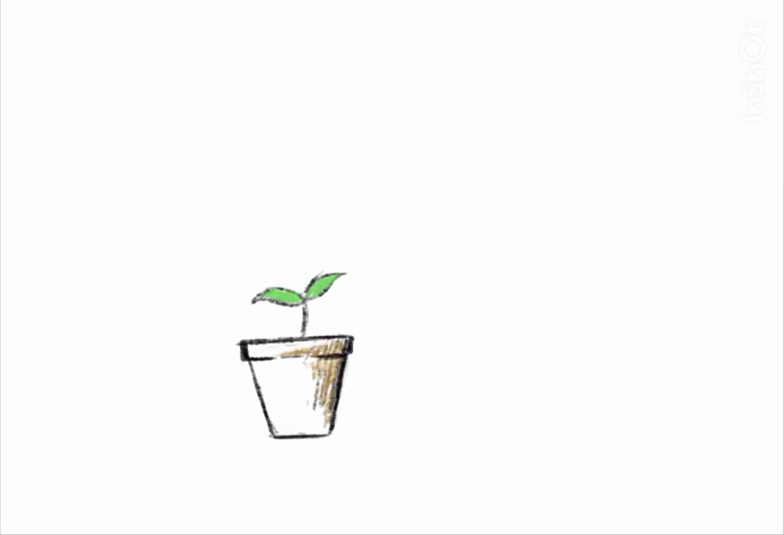 Transforming pot - Stop motion by Setareh Mehdipour on Dribbble
