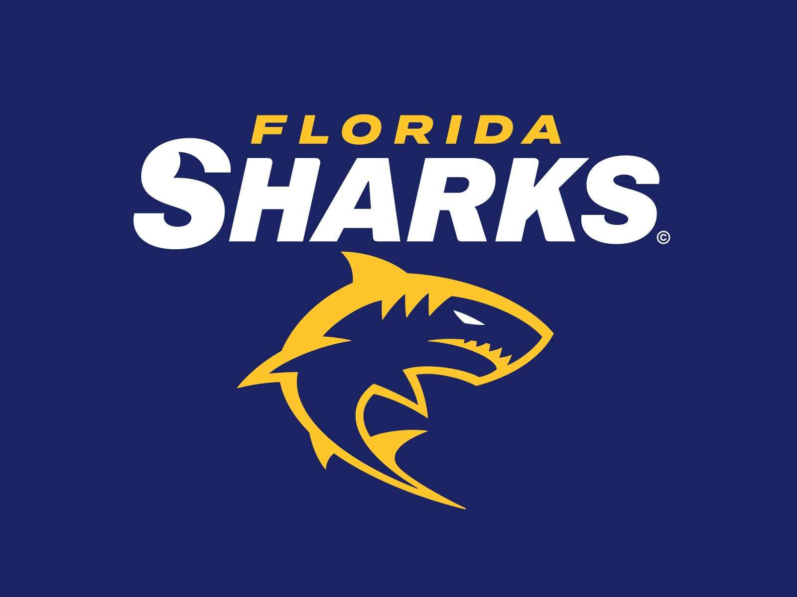 10/32 – Florida Sharks by Zilligen Design Studio on Dribbble