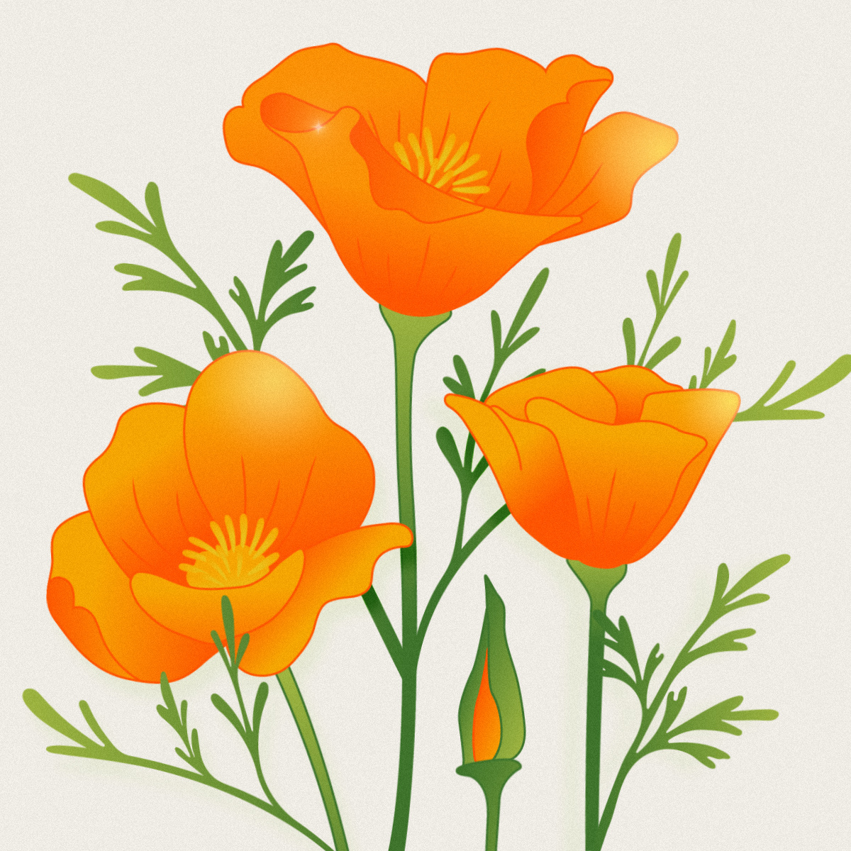 Golden Poppy - Earth Day 2024 by Atomic Tony on Dribbble