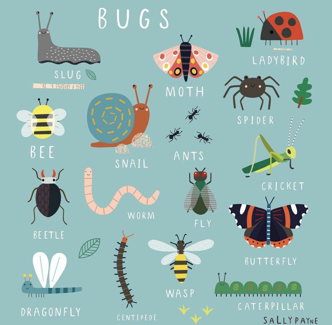 earth day creatures by Kenya N. Curry on Dribbble