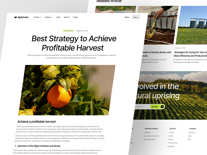 Browse thousands of Article images for design inspiration | Dribbble