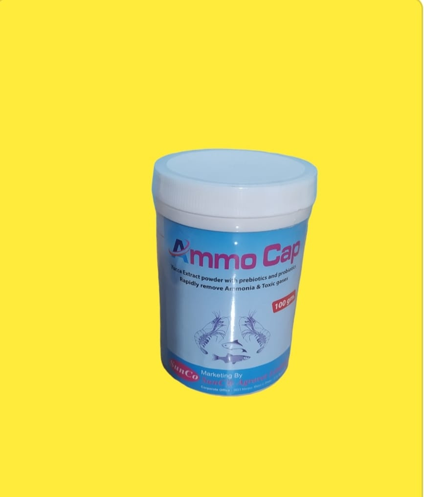 Package Labal Print Design by Mehedi Hasan on Dribbble