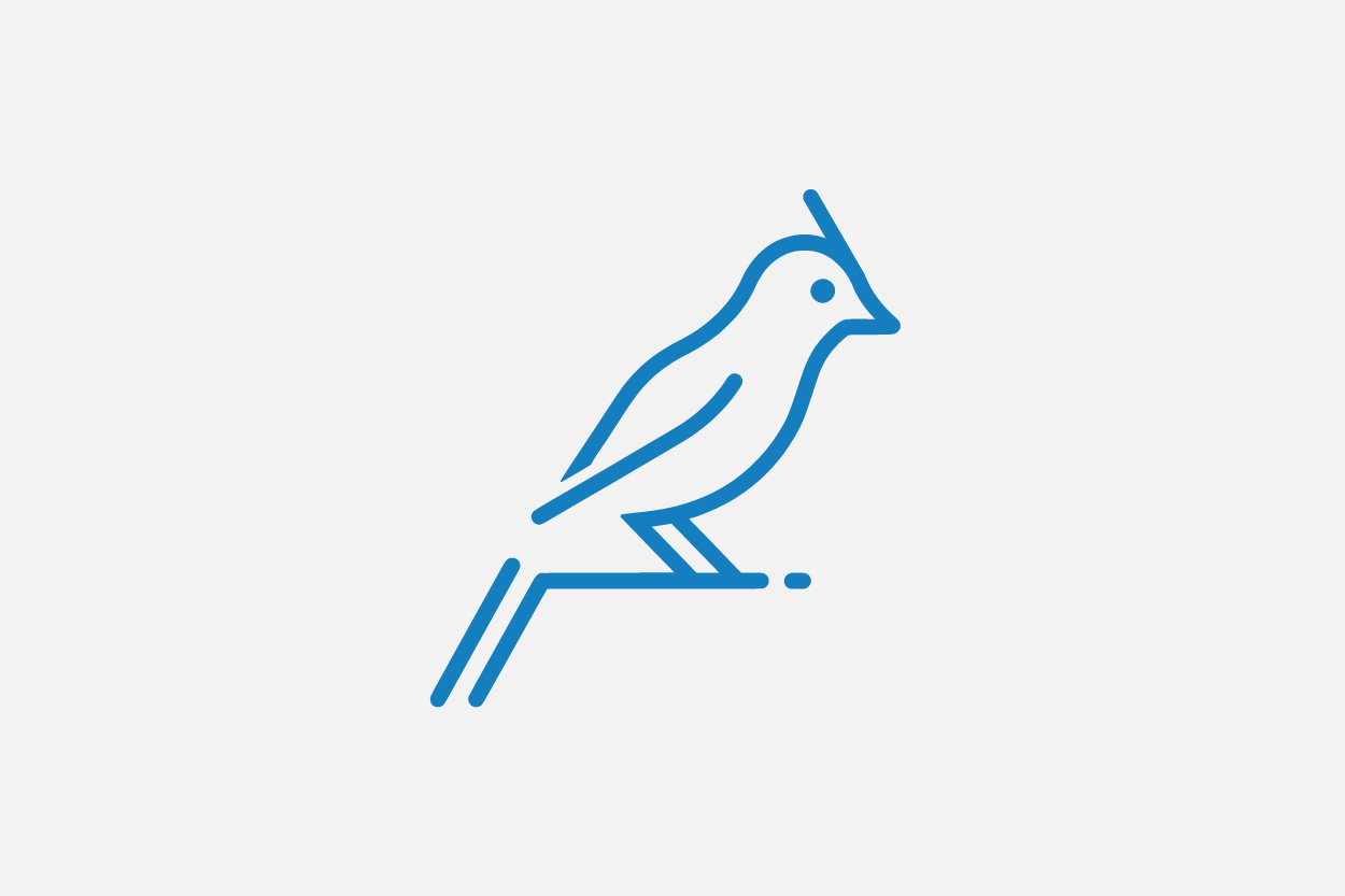 Bird Logo Design by agung faizal on Dribbble