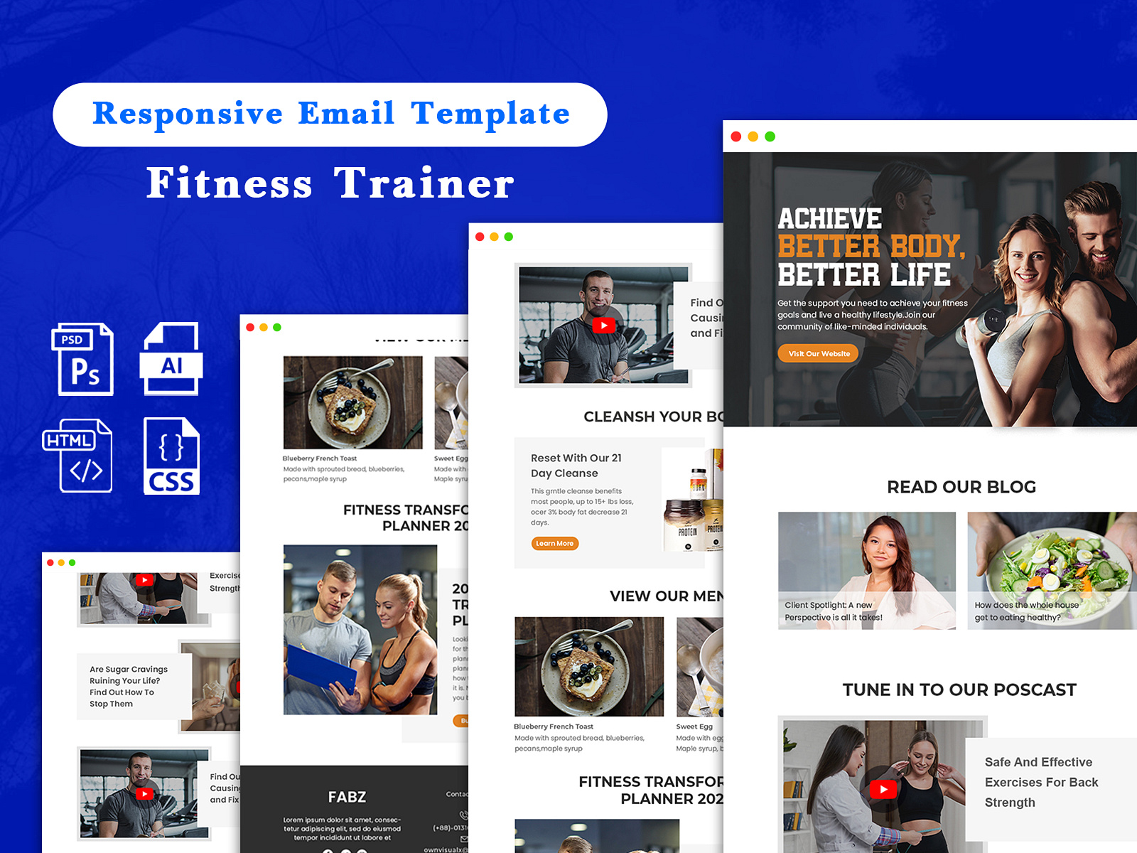 Fitness Trainer Email Template Design by Akash Islam on Dribbble