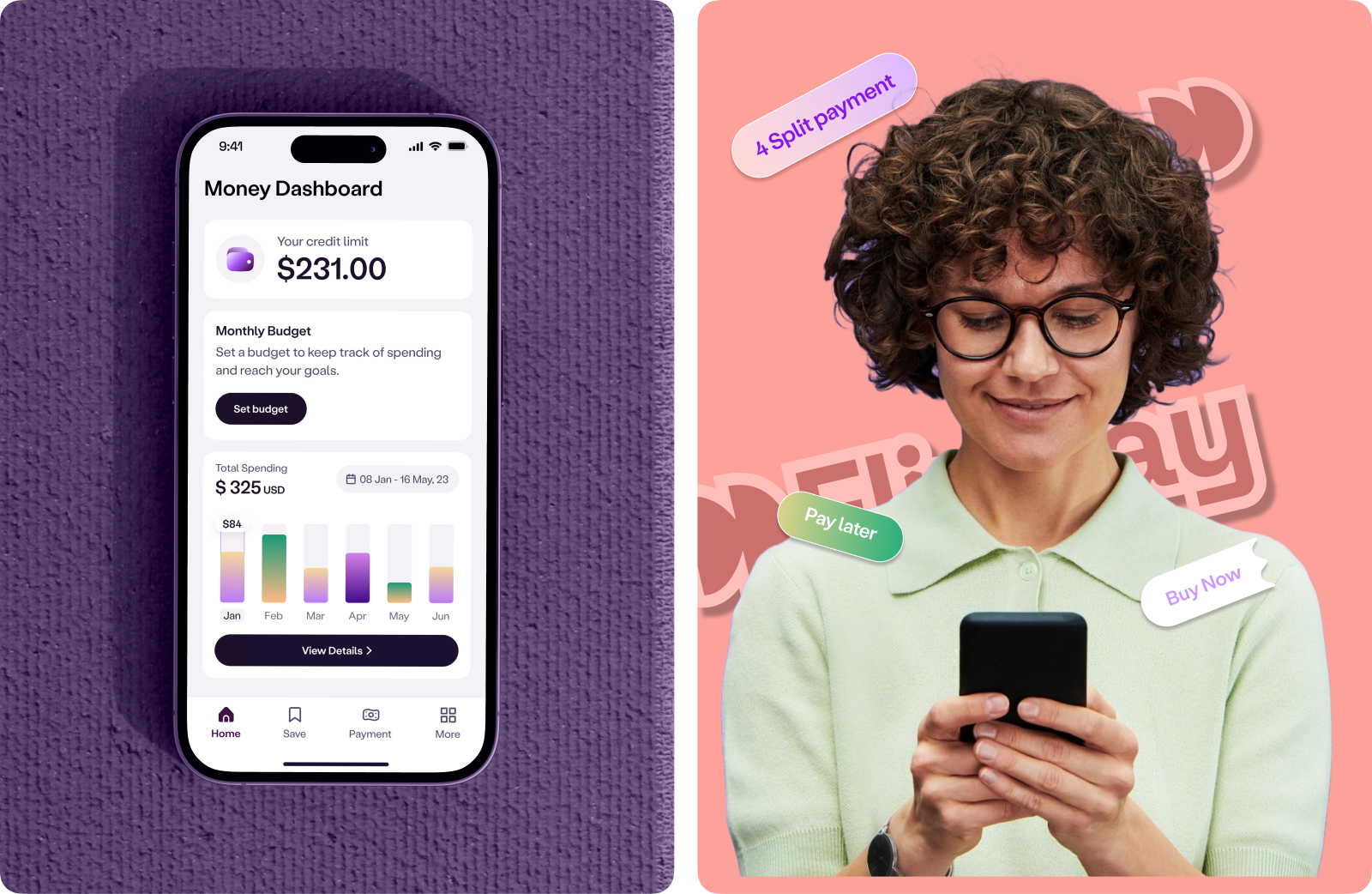 Flixpay - BNPL Money Management Dashboard by Musemind Mobile for ...